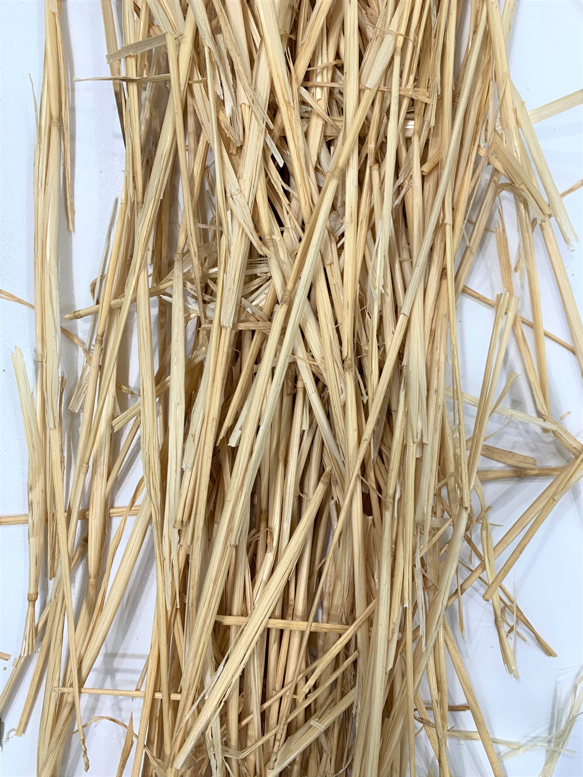 Horse Bedding Straw - JT Johnson's